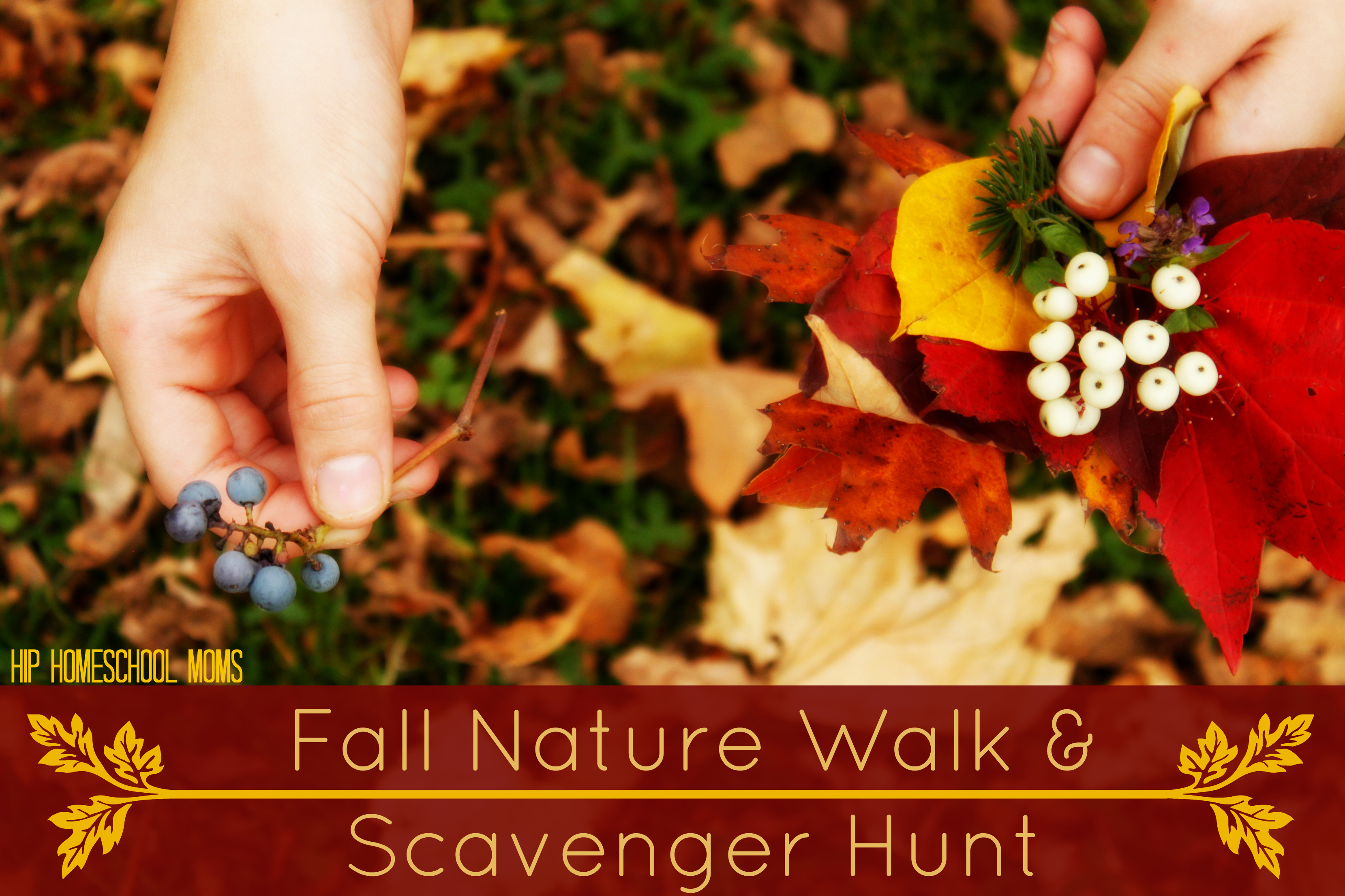 Fall Nature Walk & Scavenger Hunt - Hip Homeschool Moms