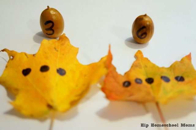 6 Fun Preschool Leaf Math Projects