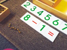 Montessori Four Operations: Subtraction {Free Printable} - Hip ...