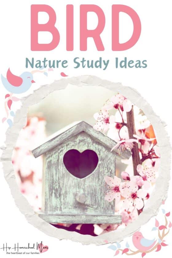 3 Easy Bird Nature Study Activity Ideas - Hip Homeschool Moms