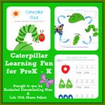 Insects and Bugs Printables - Hip Homeschool Moms