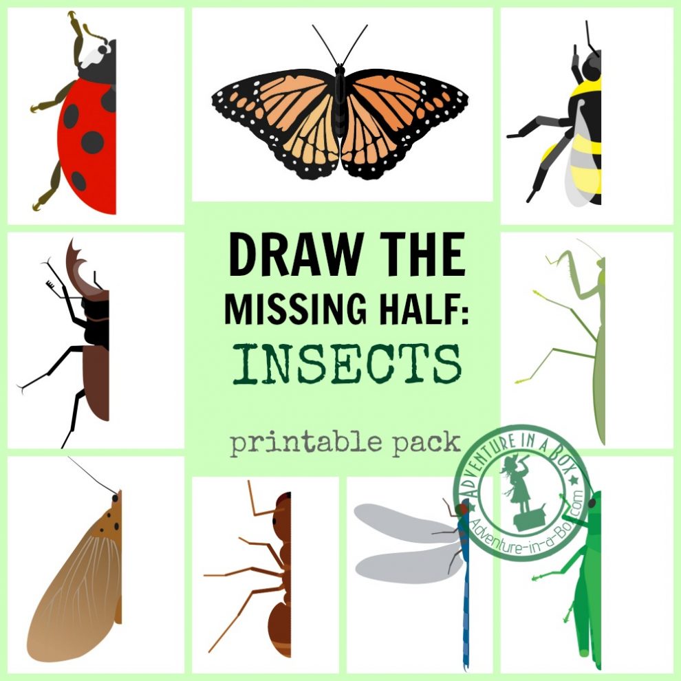 Insects and Bugs Printables - Hip Homeschool Moms