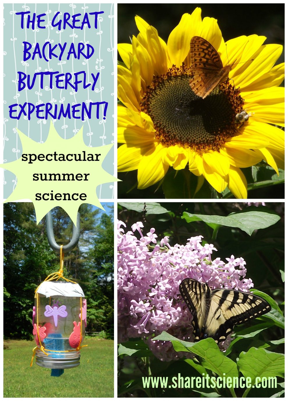 Insects and Bugs Printables - Hip Homeschool Moms