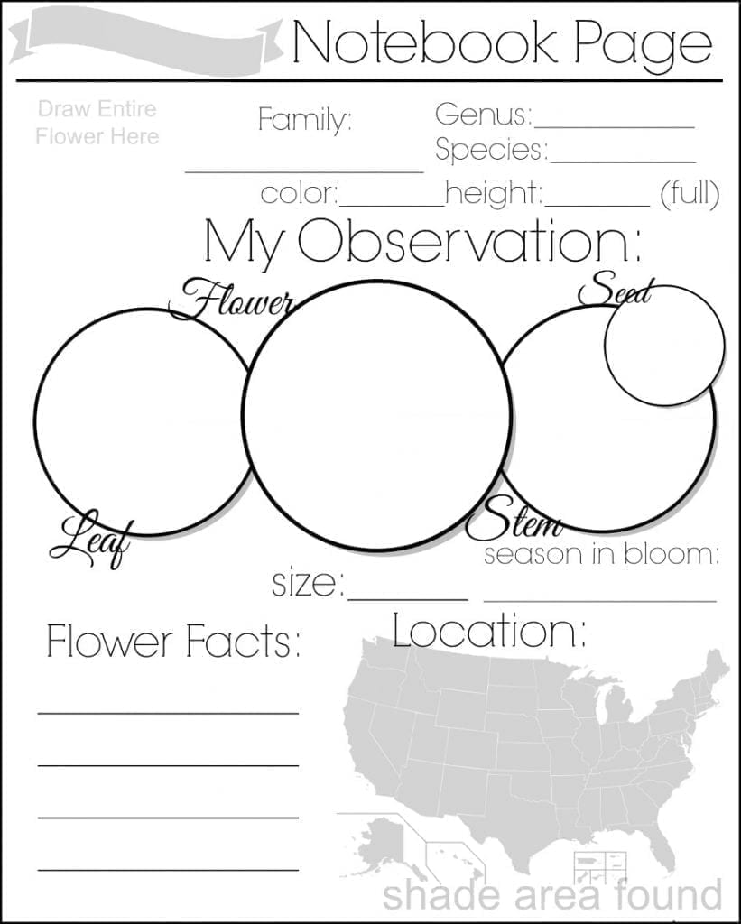 Wildflower Notebook Pages - Hip Homeschool Moms