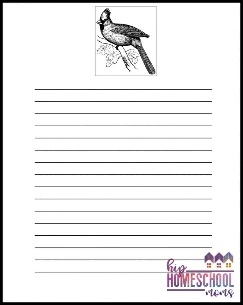 Bird Notebook Pages - Hip Homeschool Moms