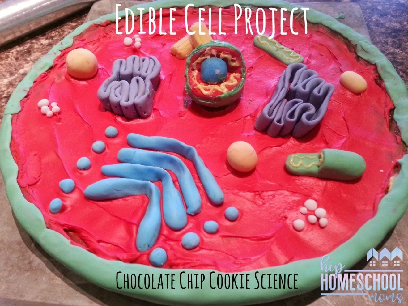 Edible Cell Project: Chocolate Chip Cookie Science - Hip Homeschool Moms
