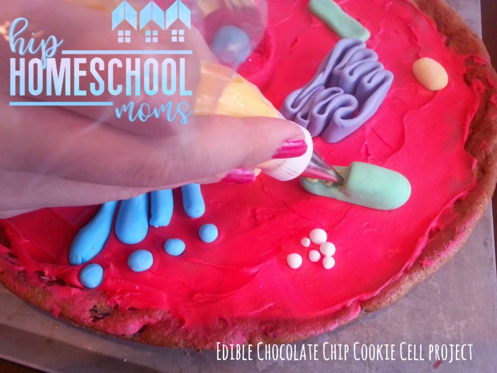 Edible Cell Project: Chocolate Chip Cookie Science - Hip Homeschool Moms