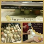 Flying Creatures of the Fifth Day Activities - Hip Homeschool Moms