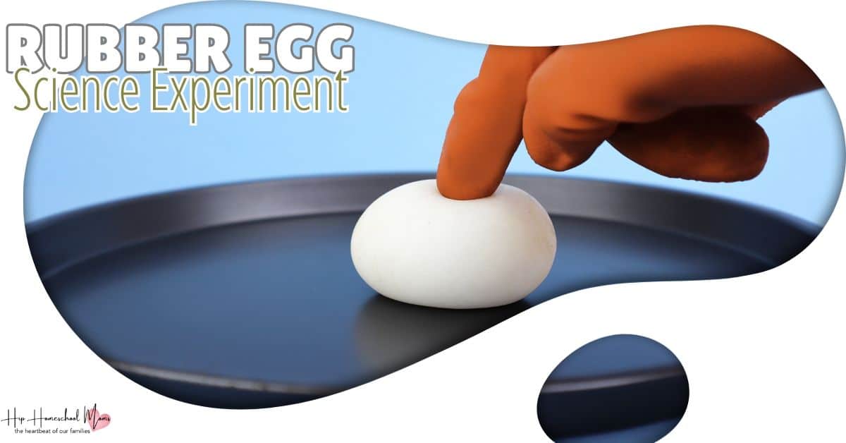 Cool Rubber Egg Science Experiment - Hip Homeschool Moms
