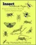 Insect Notebook Pages - Hip Homeschool Moms