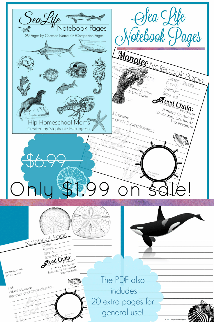 Sea Life Notebook Pages - Hip Homeschool Moms