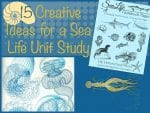15 Creative Ideas for a Sea Life Unit Study - Hip Homeschool Moms