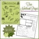Tree Notebook Pages - Hip Homeschool Moms