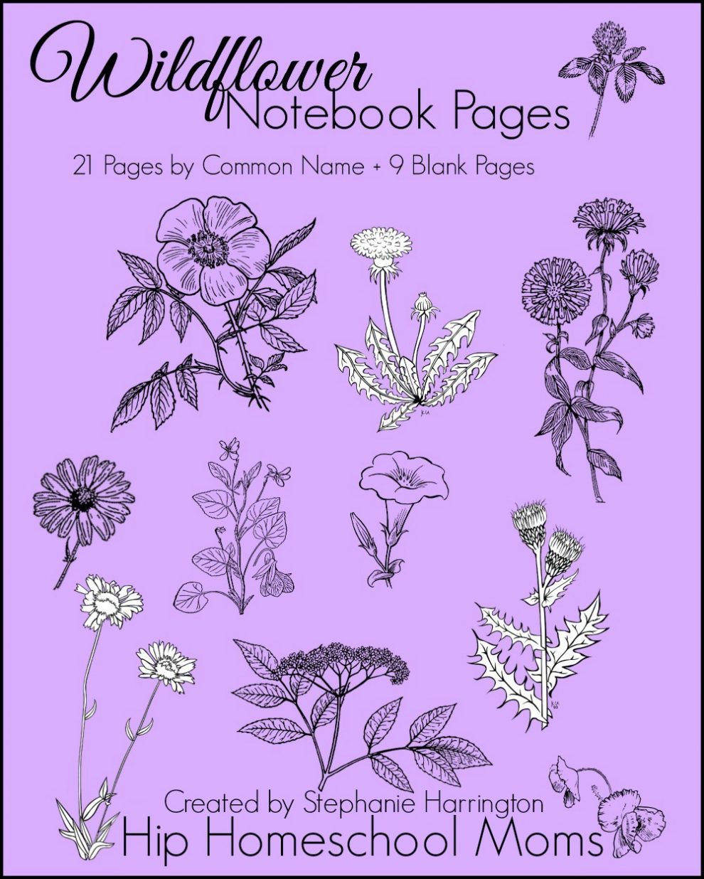 Wildflower Notebook Pages - Hip Homeschool Moms