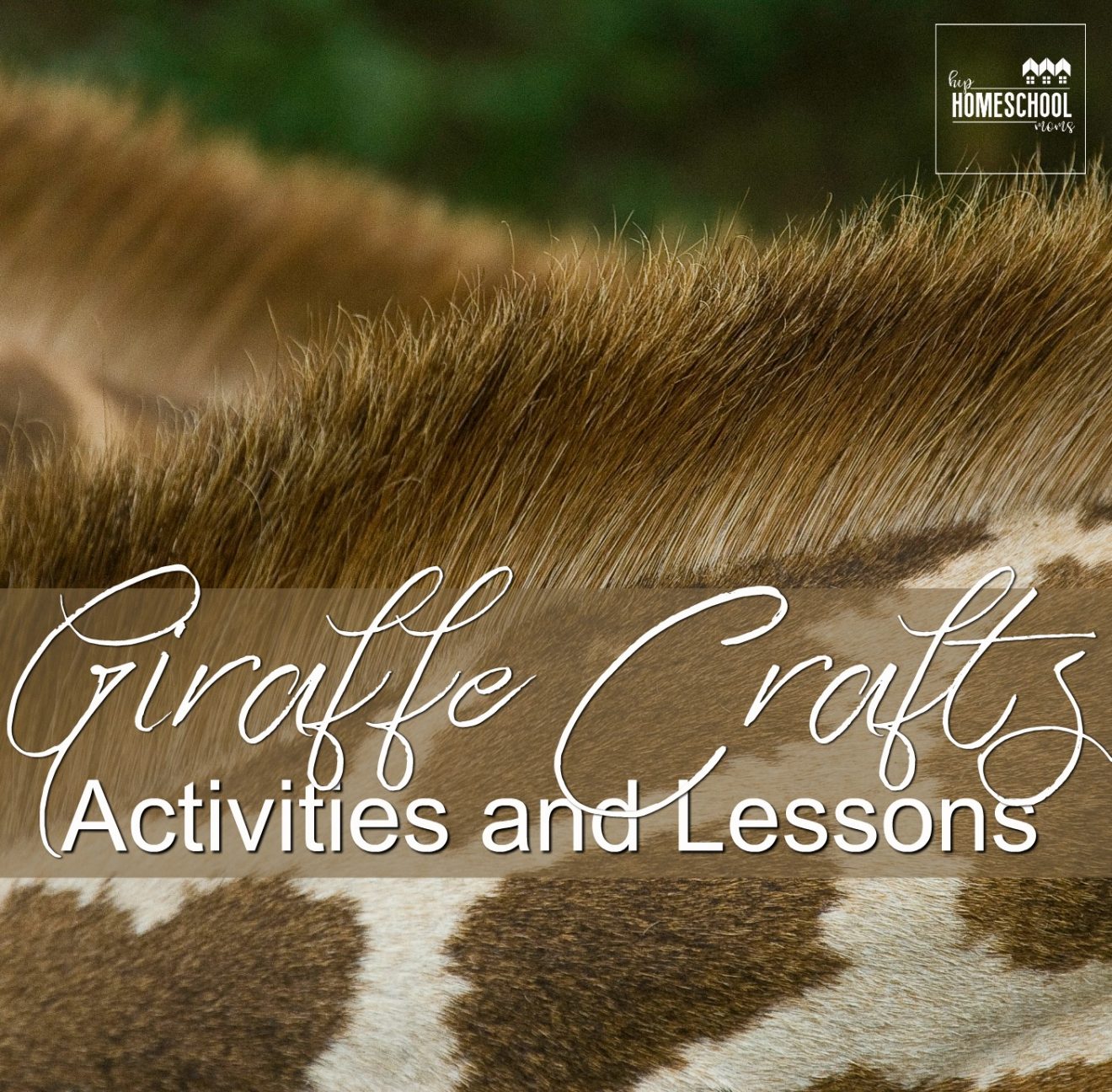 Giraffe Crafts, Activities, and Lessons - Hip Homeschool Moms