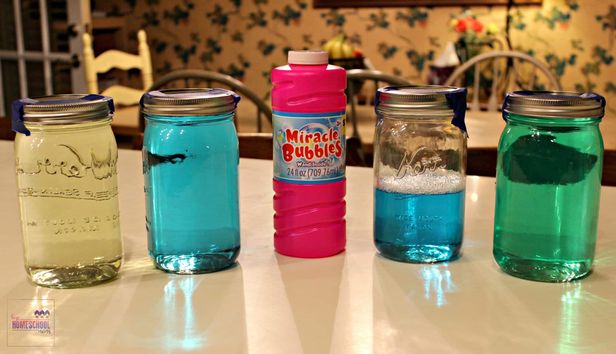 Bubble Challenge - Hip Homeschool Moms