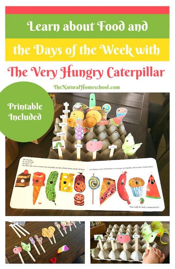 Fun Summer Printables! - Hip Homeschool Moms