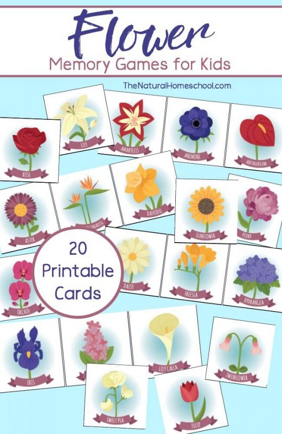 Fun Summer Printables! - Hip Homeschool Moms