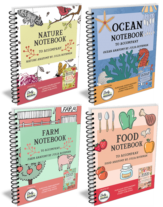 How to Use Julia Rothman's Nature Anatomy in Your Homeschool - Hip ...