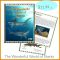 The Wonderful World of Sharks Workbook - Hip Homeschool Moms