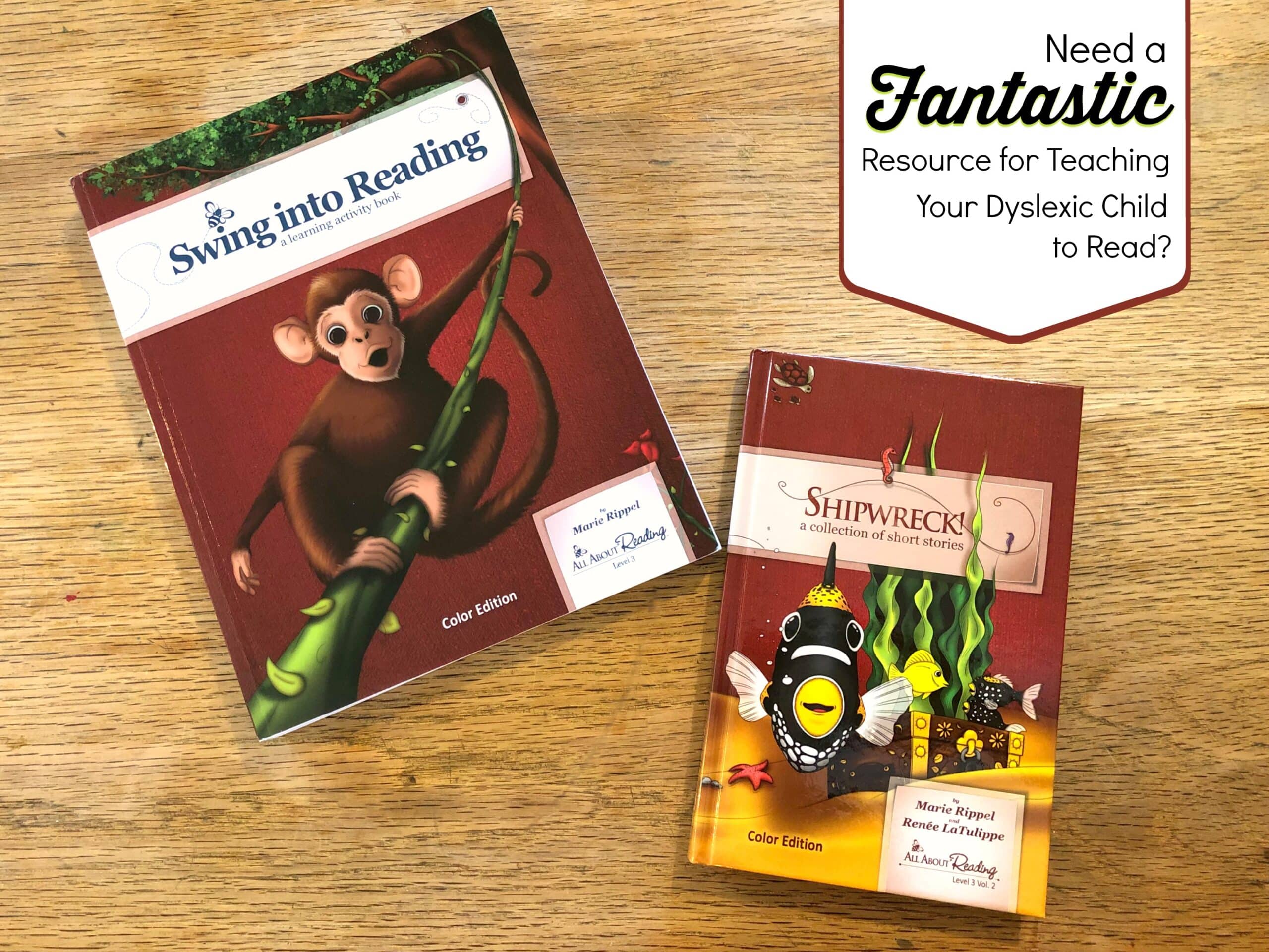 Need a FANTASTIC Resource for Teaching Your Dyslexic Child to Read ...