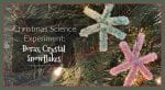 Christmas Science Experiment: Make Beautiful Borax Crystal Ornaments ...