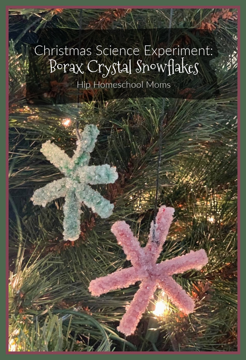 Christmas Science Experiment: Make Beautiful Borax Crystal Ornaments ...