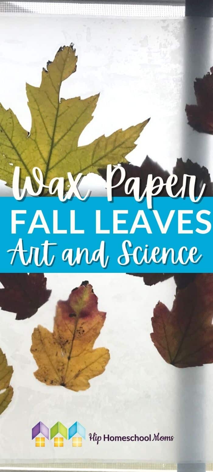 It's Fall, Y'all! Two Fun Fall Leaves Art and Science Activities - Hip ...