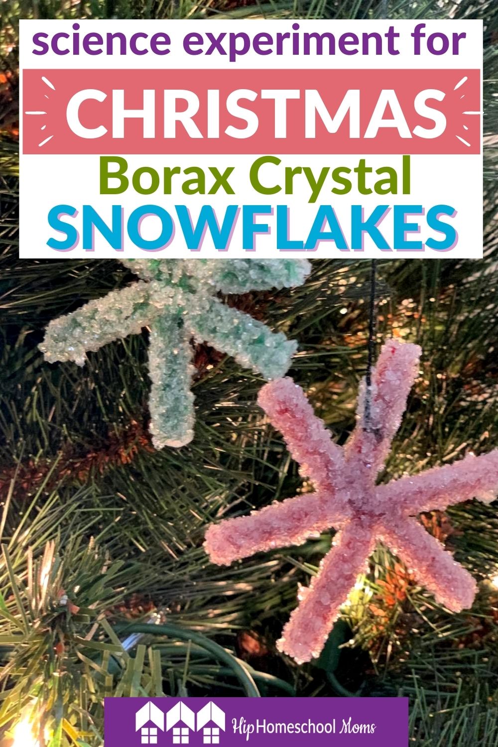 Christmas Science Experiment: Make Beautiful Borax Crystal Ornaments ...