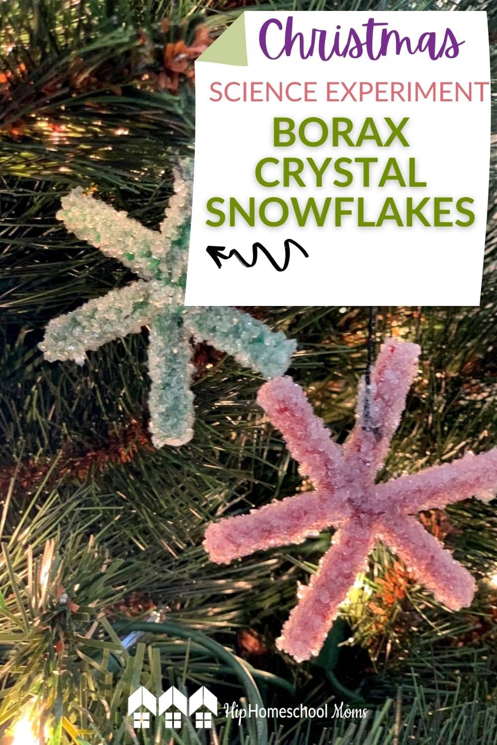 Christmas Science Experiment: Make Beautiful Borax Crystal Ornaments ...
