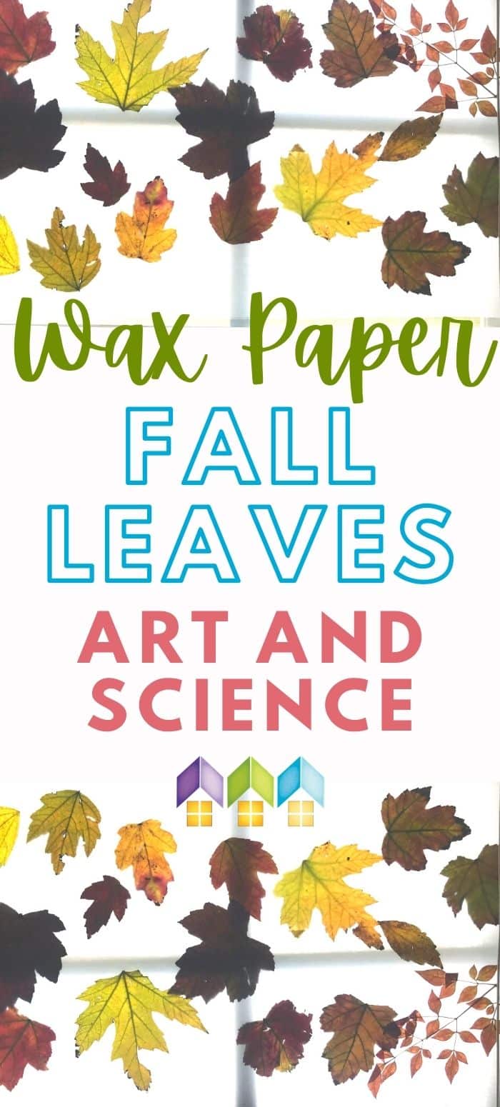 It's Fall, Y'all! Two Fun Fall Leaves Art and Science Activities - Hip ...