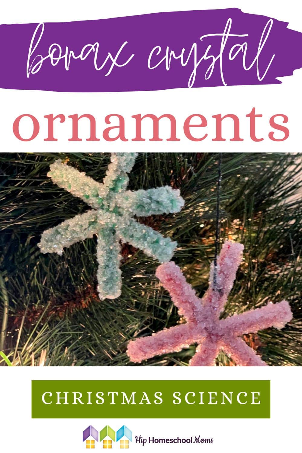 Christmas Science Experiment: Make Beautiful Borax Crystal Ornaments ...