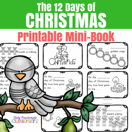 40 Unique and Fun Christmas Activities for Kids and Families - Hip ...