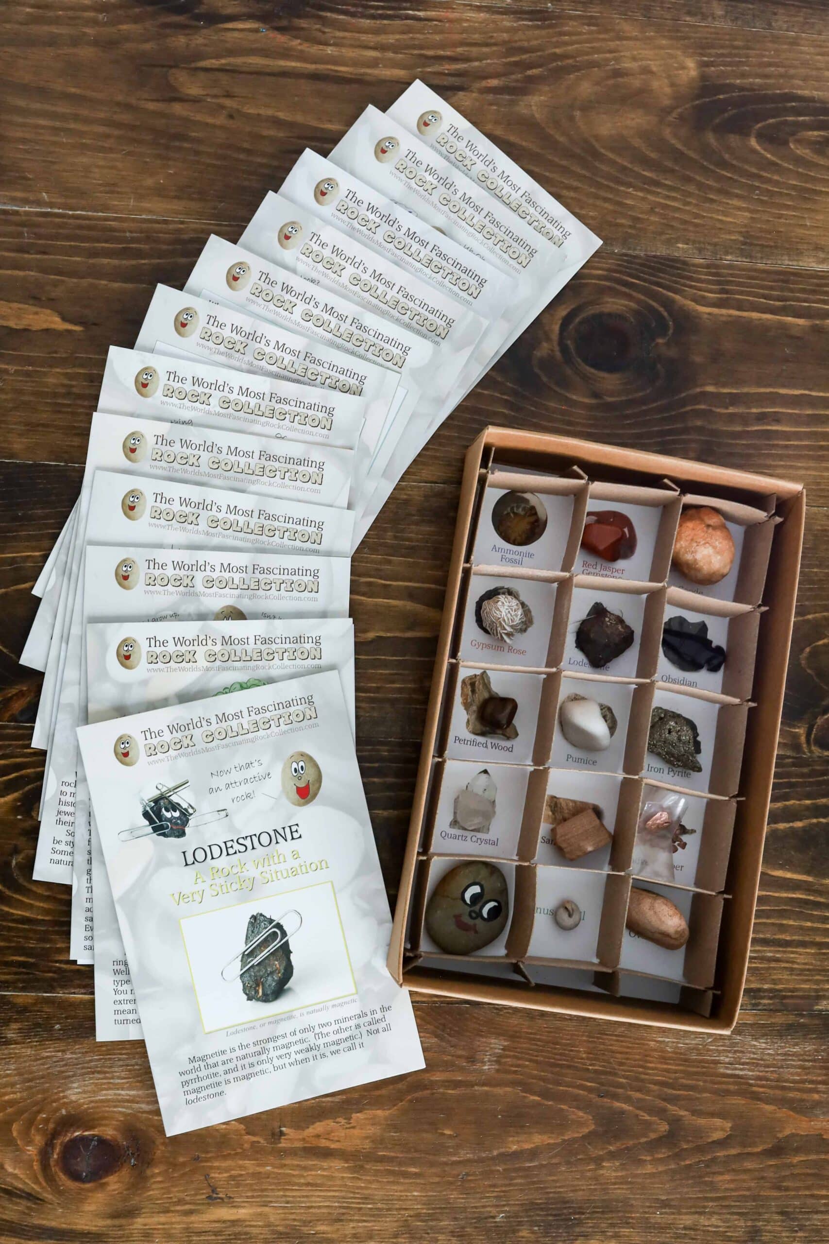 World's Most Fascinating Rock Collection - Hip Homeschool Moms