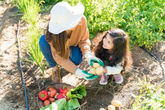 25 Creative Ways to Learn Math in the Garden - Hip Homeschool Moms