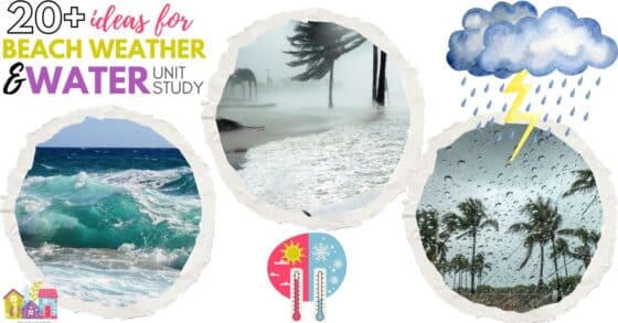 20+ Ideas for Beach Weather and Water Unit Study - Hip Homeschool Moms